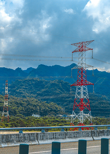 Reinforcing Taiwan's Grid Resilience with Virtual Power Plants